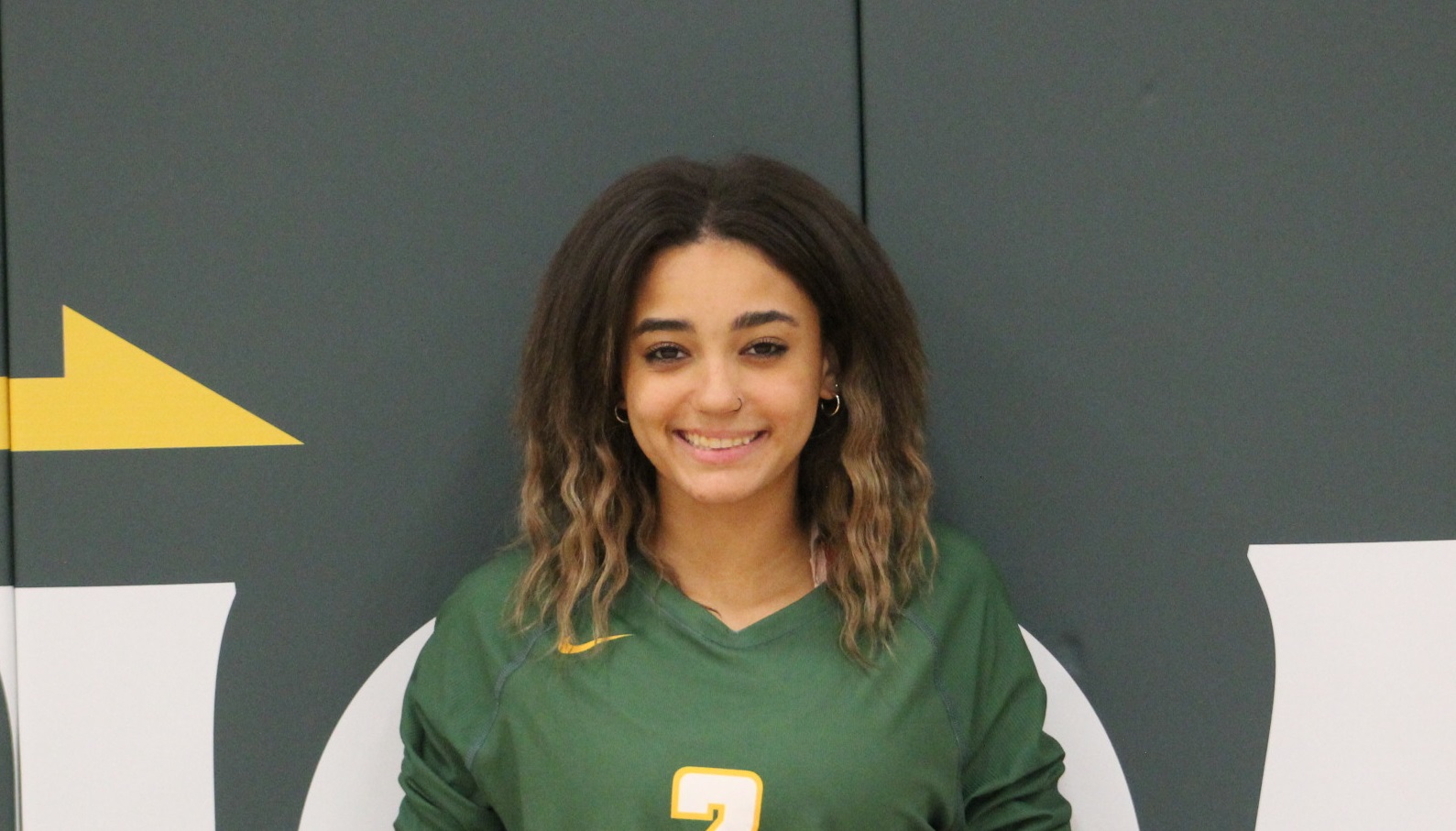 Ari Johnson - Volleyball Profile - Whatcom County High School Sports
