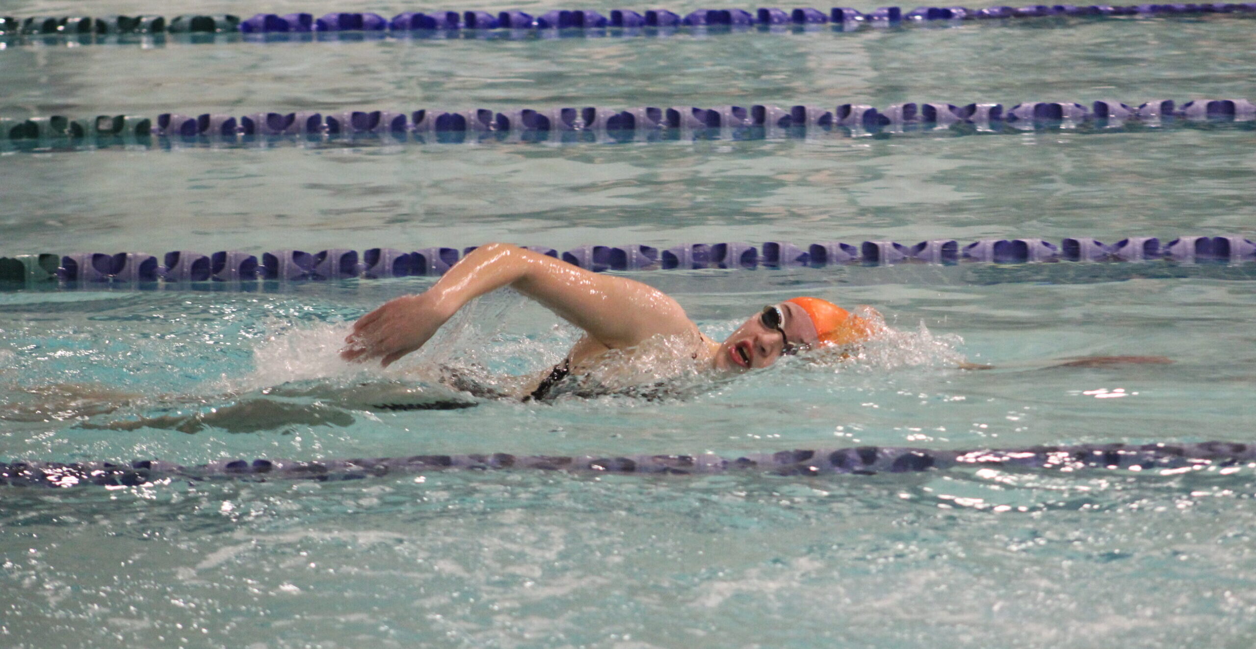 2025 Girls Swimming/Diving 1A/2A State Championships - Whatcom County ...